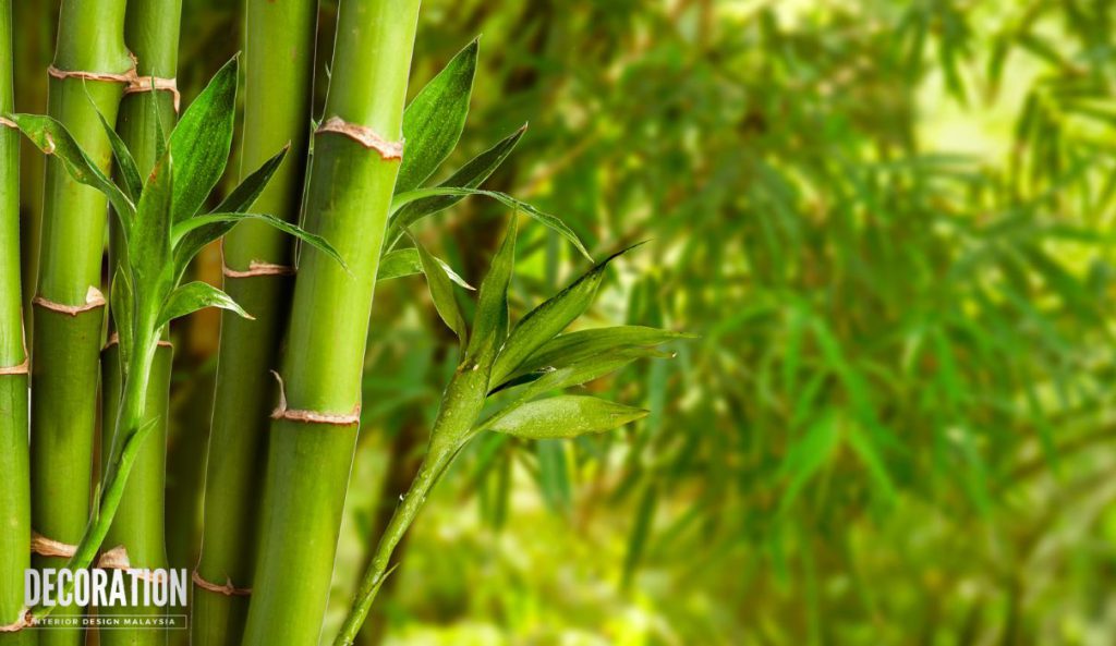 Benefits of Using Bamboo as a Sustainable Wood Alternative - Premier ...